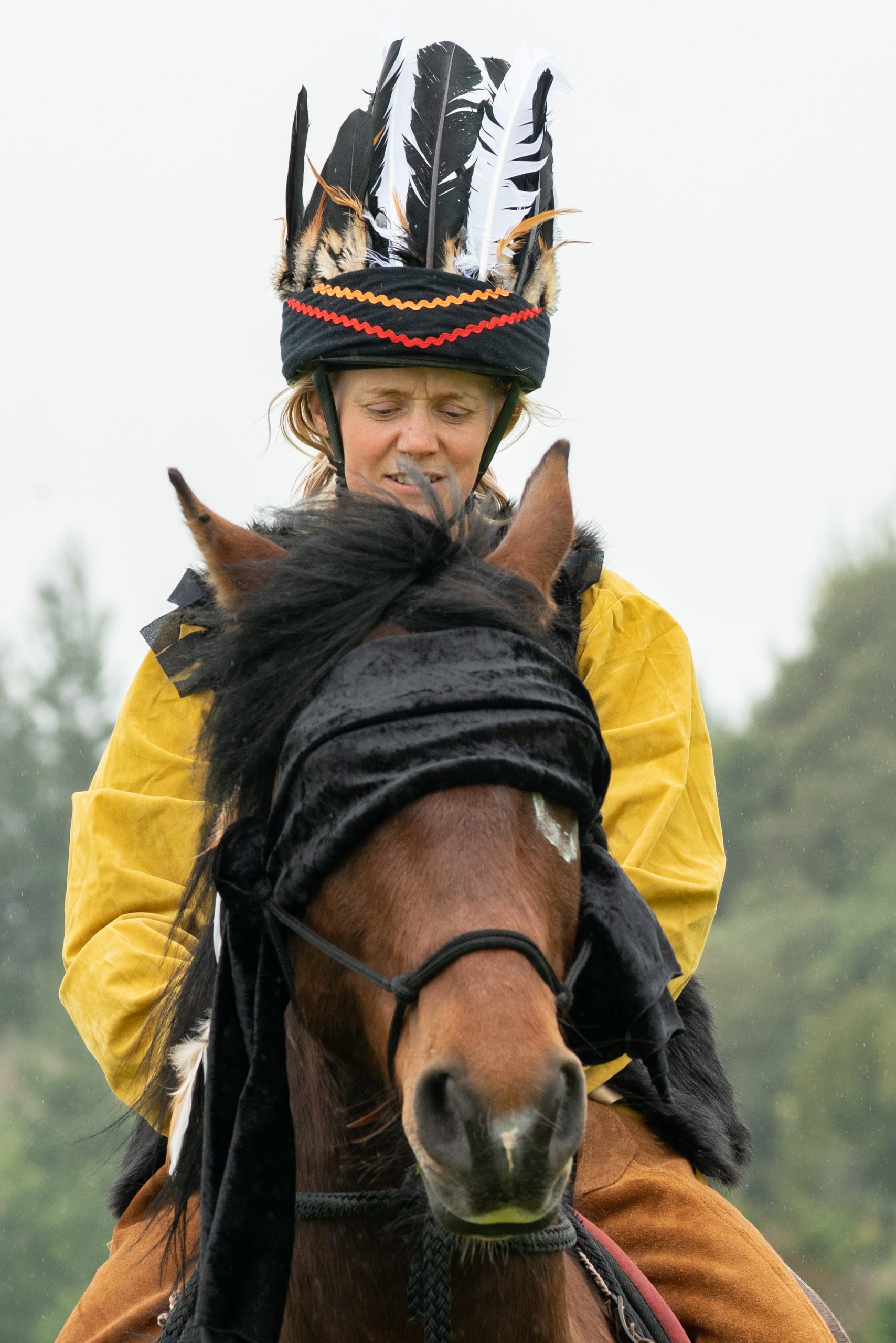 Gallery – NZ Kaimanawa Heritage Horses – Australian Brumby Alliance