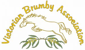 ABA Member Groups – Australian Brumby Alliance