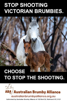 Why the ABA was formed – Australian Brumby Alliance