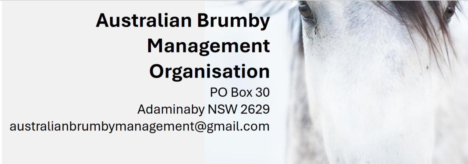 Adopt a Brumby – Australian Brumby Alliance